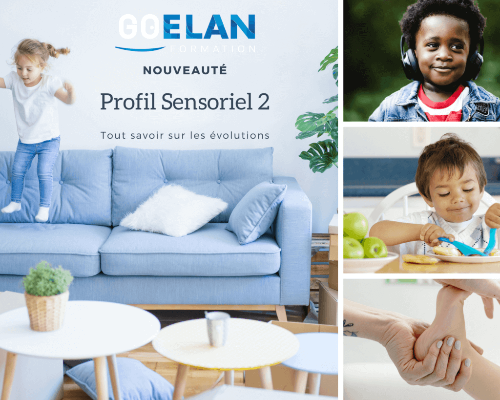 Le Profil Sensoriel de Dunn 2 - Goélan - Formation